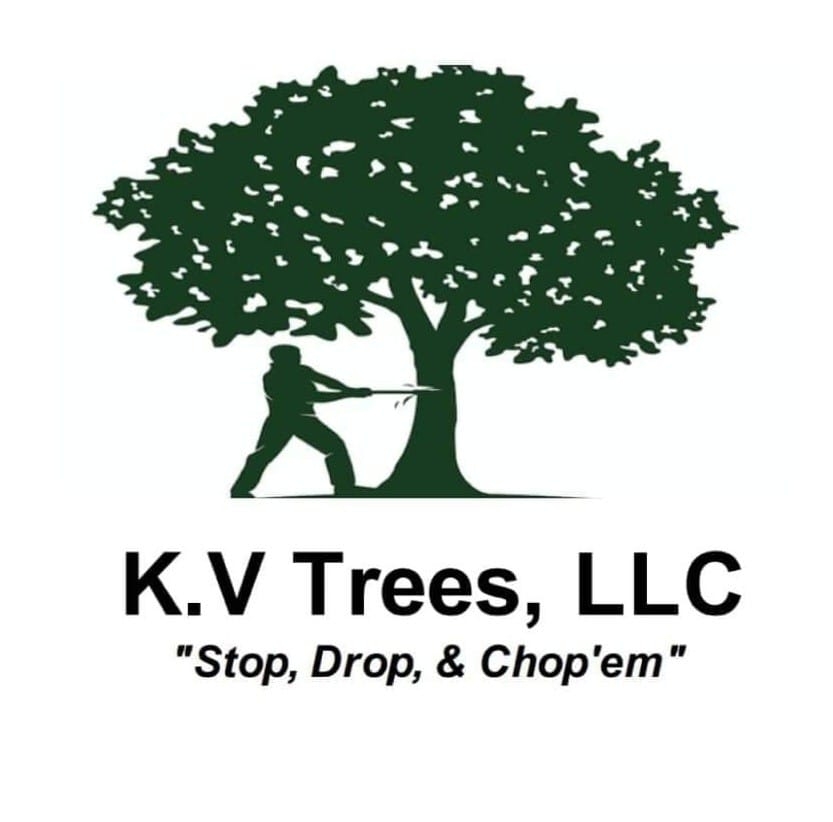 Mount Vernon, Illinois Tree Service | We Serve All Your Tree Needs ...