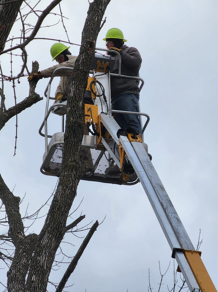 K.V. Trees - K.V. Trees, LLC