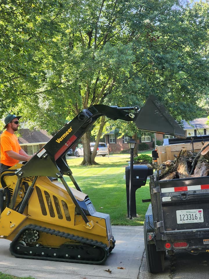 K.V. Trees - K.V. Trees, LLC