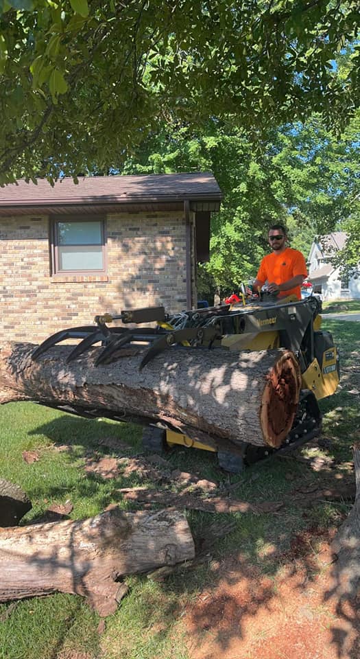 K.V. Trees - K.V. Trees, LLC