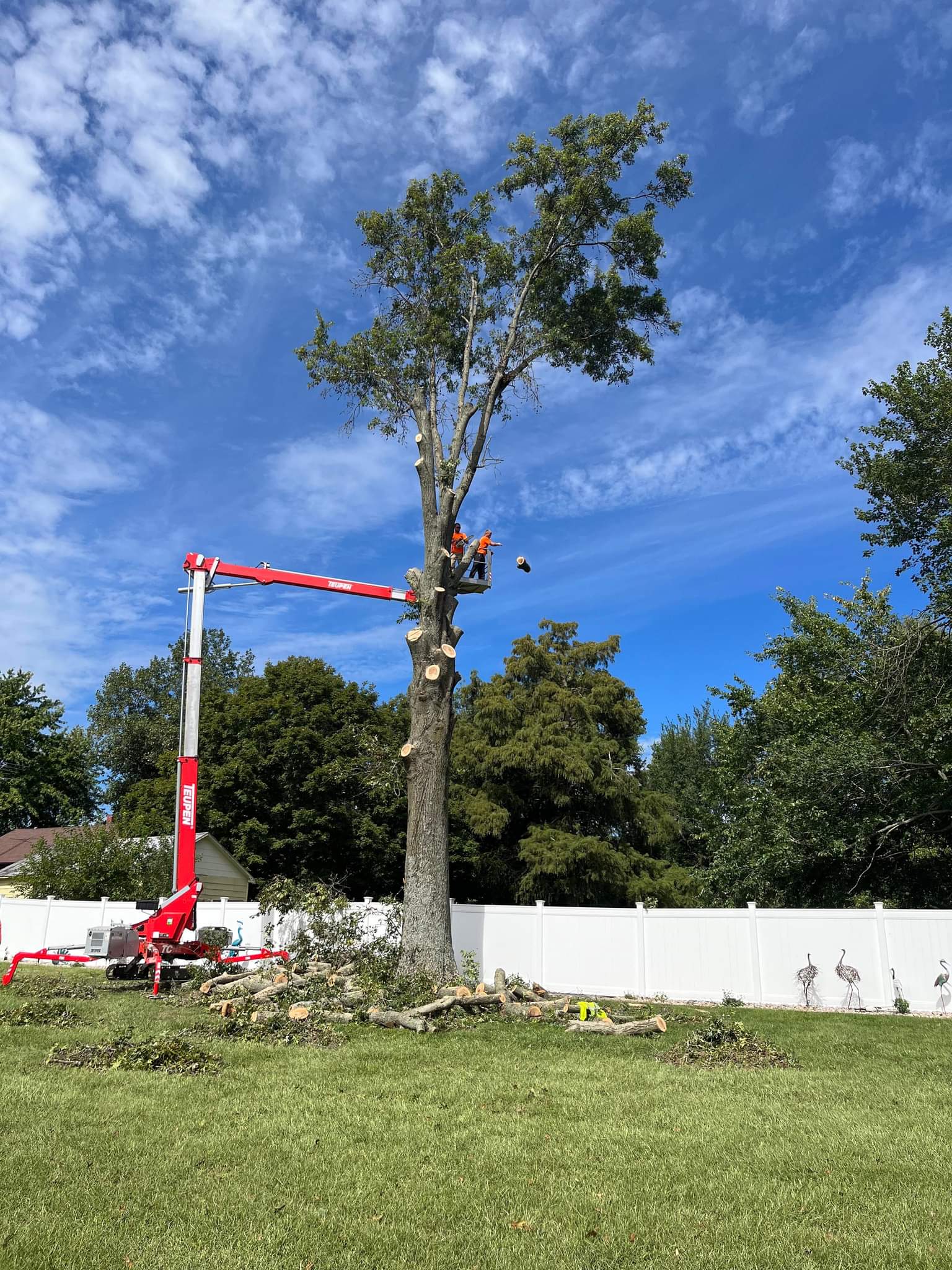 Portfolio - KV Trees, LLC