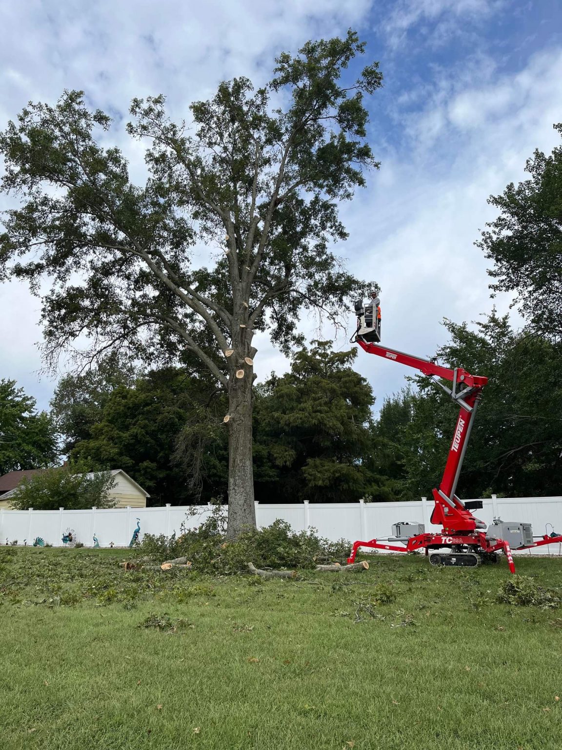 Portfolio - KV Trees, LLC