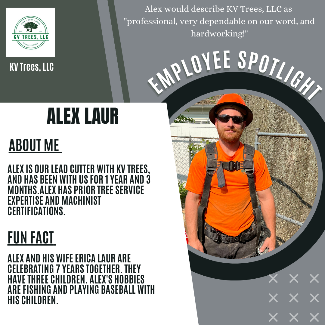 Who We Are - KV Trees, LLC