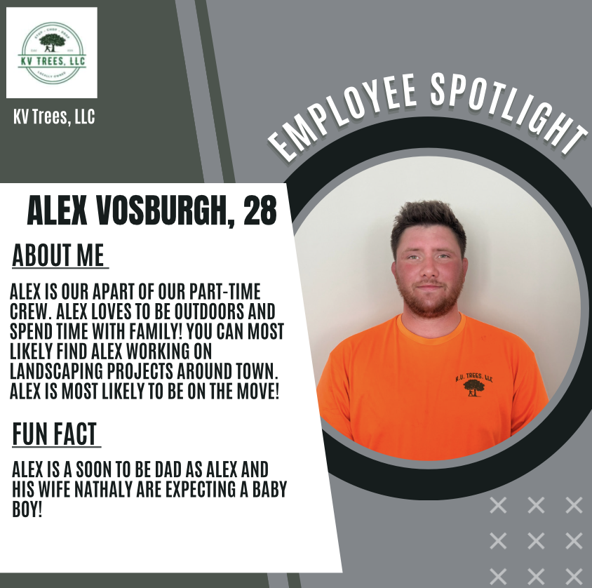 Who We Are - KV Trees, LLC